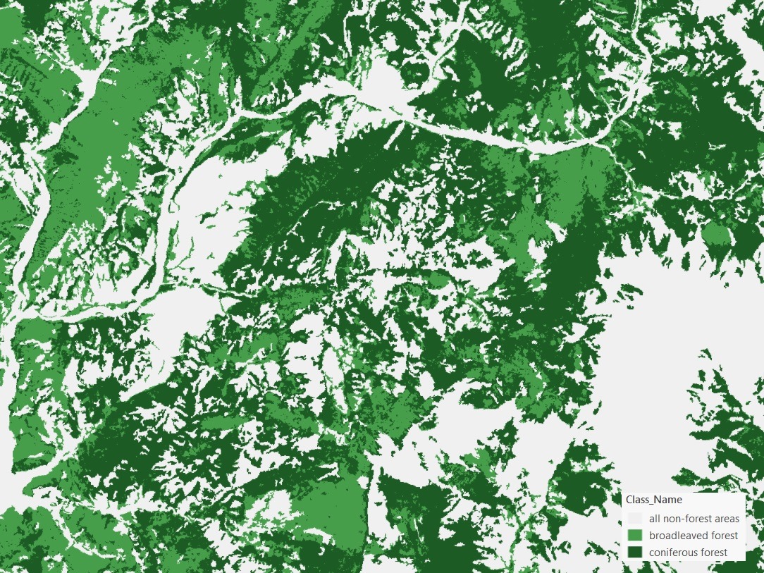 Forest Classification Map - Biosat